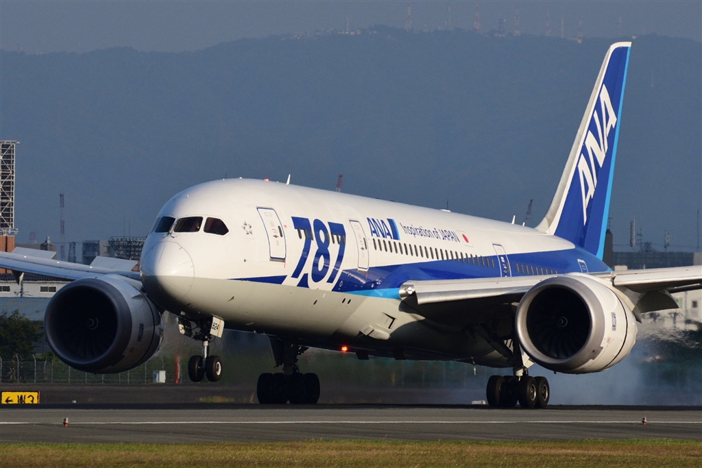 価格.com - 『D787』ニコン D500 ボディ take PONさんのレビュー・評価投稿画像・写真「流石！Nikon DXフォーマット ...