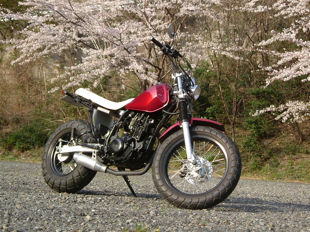 価格.com - NBSジャパン CT4B-5 アンドロメダ・瞬さんのレビュー・評価投稿画像・写真「スチューン用」[369085]