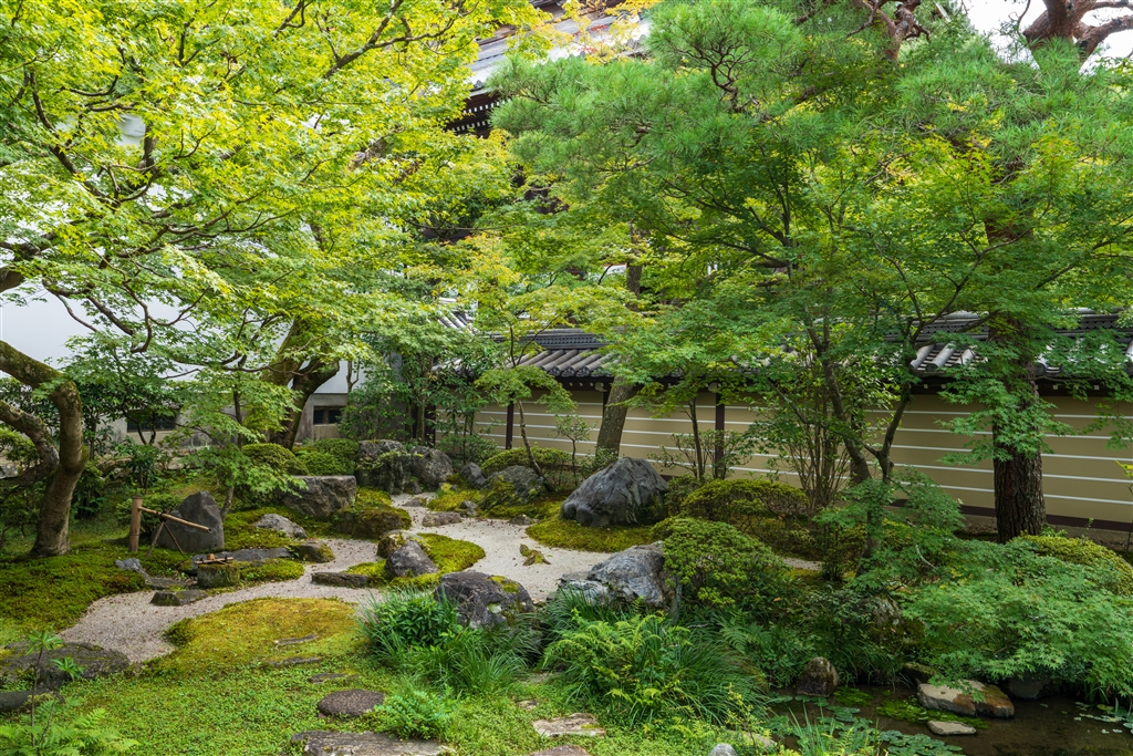 価格.com - SONY FE 16-35mm F2.8 GM SEL1635GM 24-70さんのレビュー・評価投稿画像・写真「基本に忠実 ...