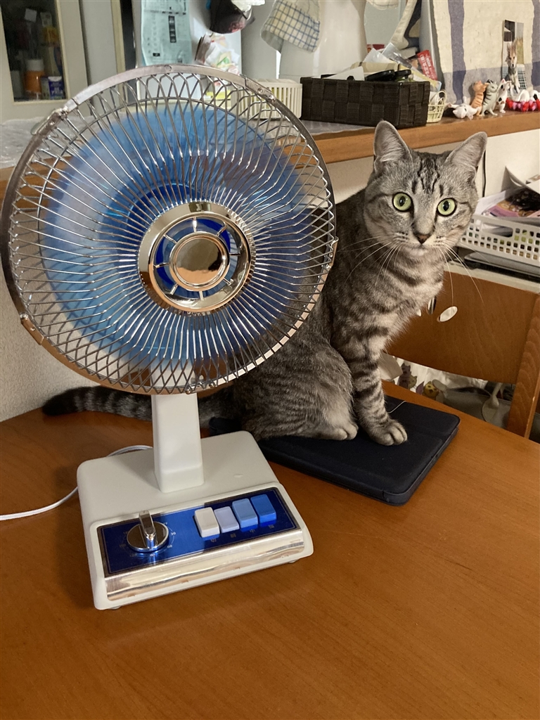 価格.com - 『感じはいいですよ』コイズミ KLF-2035/A [ブルー] りっちゃんパパさんのレビュー・評価投稿画像・写真「昔を懐かしんで購入」[703813]