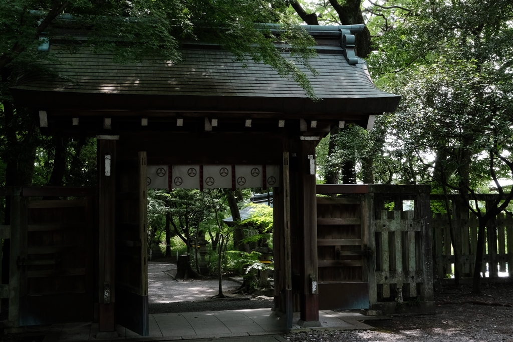 価格.com - ライカ ライカM11 ボディ [ブラックペイント] 酒と旅さんのレビュー・評価投稿画像・写真「孤高のカメラ」[723790]