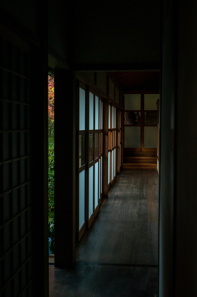 価格.com - SONY E 35mm F1.8 OSS SEL35F18 おいしいごはん.さんのレビュー・評価投稿画像・写真「スナップが ...