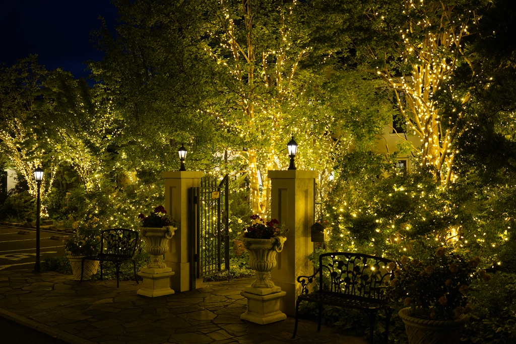 価格.com - 『Sonnar T* FE 35mm F2.8 ZA SEL35F28Z』SONY α7C ILCE-7C ボディ ...