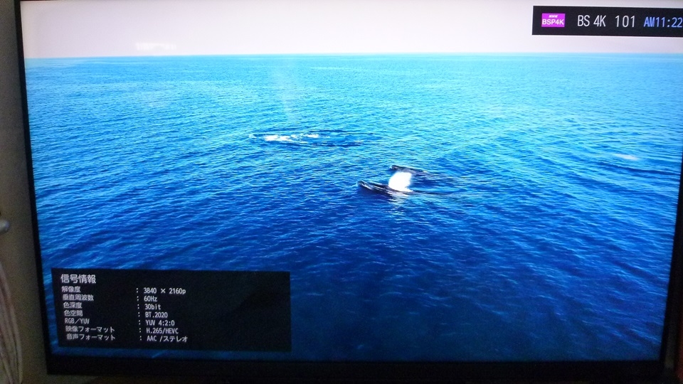 価格.com - 『4K映像のBT2020色空間』TVS REGZA REGZA 55Z870N [55インチ] マランツプロpa01さんの ...