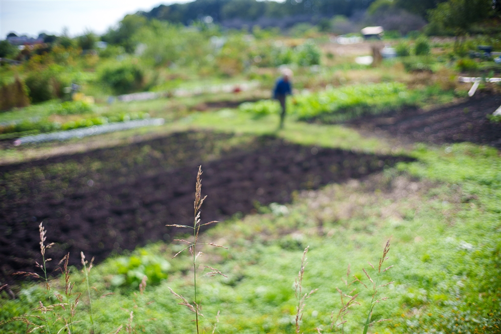 価格.com - 『F1.4』コシナ フォクトレンダー NOKTON classic 35mm F1.4 II MC VM torao120 ...