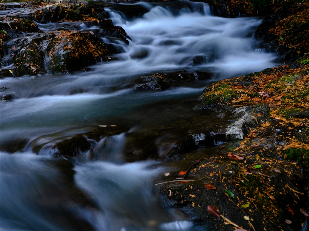 価格.com - 富士フイルム フジノンレンズ GF100-200mmF5.6 R LM OIS WR きゅーちゃん（^・^）さんのレビュー ...