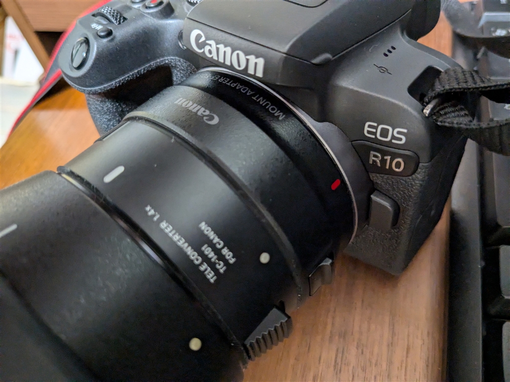 価格.com - 『R10にシグマ150-600C＋テレコン』CANON EF-EOSR 久よしさんのレビュー・評価投稿画像・写真「シグマ150-600Cでも使えました」[776888]