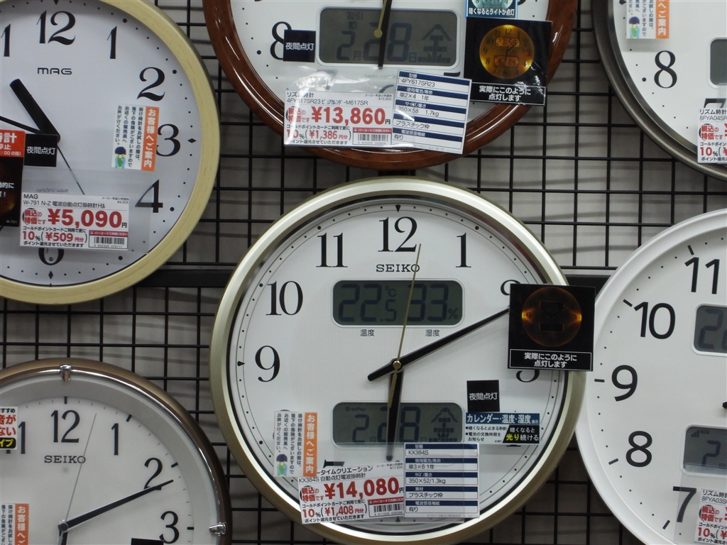 価格.com - 『COOLPIX P1100 2000mm』ニコン COOLPIX P1100 sumi_hobbyさんのレビュー・評価投稿 ...