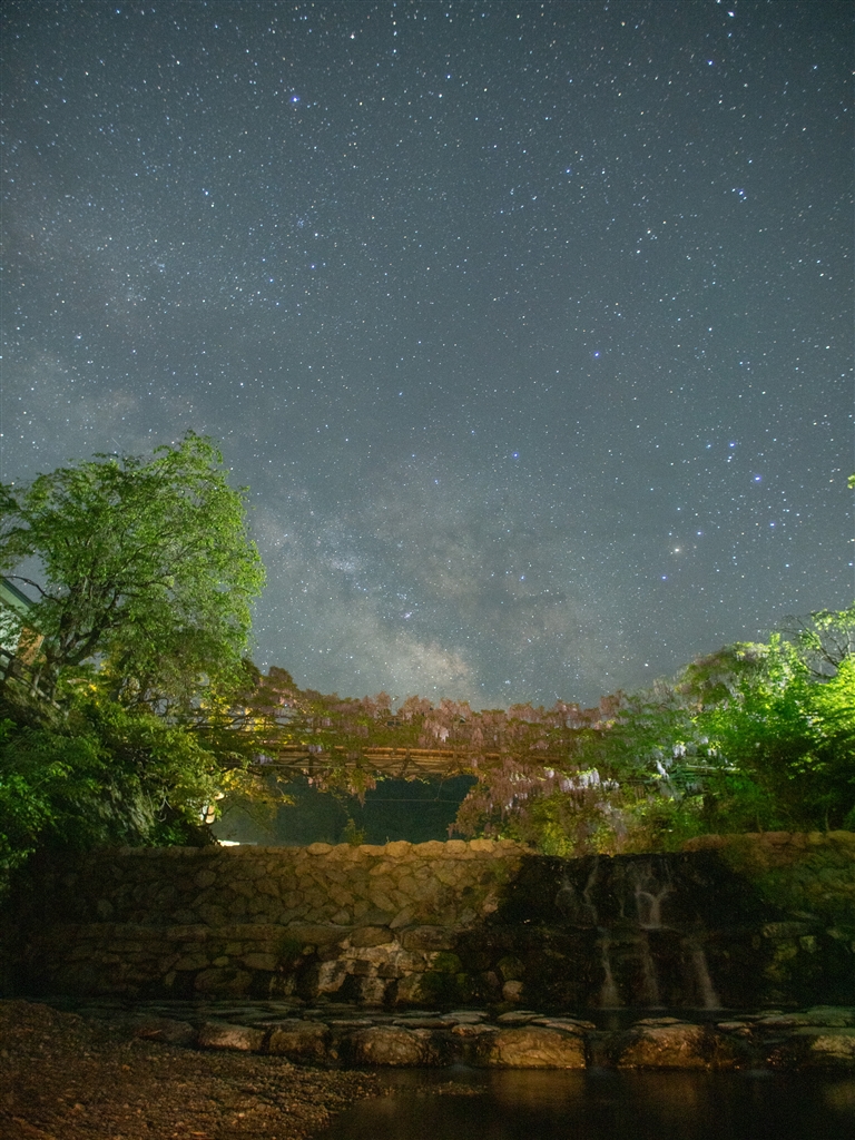 価格.com - 『BMF-SE01使用 nokton10.5mm』OMデジタルソリューションズ OM SYSTEM BMF-SE01 ...