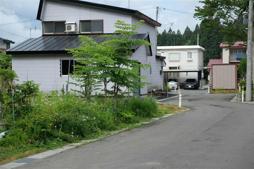 価格.com - パナソニック LUMIX G X VARIO 12-35mm/F2.8 ASPH./POWER O.I.S. H ...