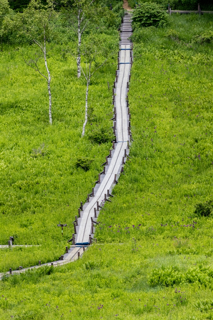 価格.com - 『221mm 1/400 f10 ISO800』シグマ 16-300mm F3.5-6.7 DC OS [キヤノンRF用 ...