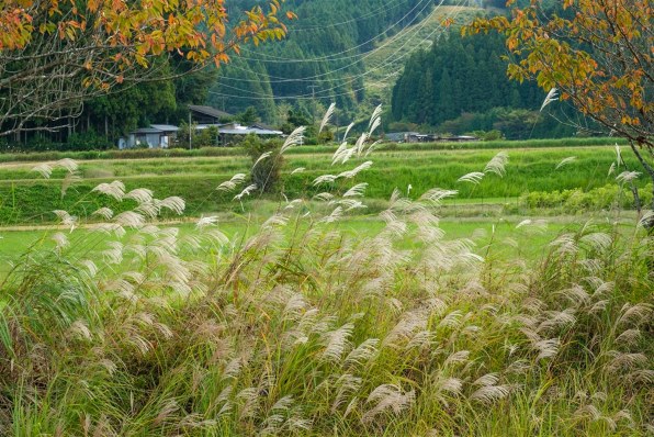 富士フイルム フジノンレンズ XC50-230mmF4.5-6.7 OIS II 富士フイルム フジノンレンズ XC50-230mmF4.5-6.7 OIS II