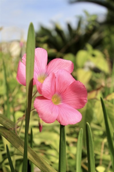 CANON EF-S10-22mm F3.5-4.5 USM投稿画像・動画 - 価格.com CANON EF-S10-22mm F3.5-4.5 USM投稿画像・動画 - 価格.com