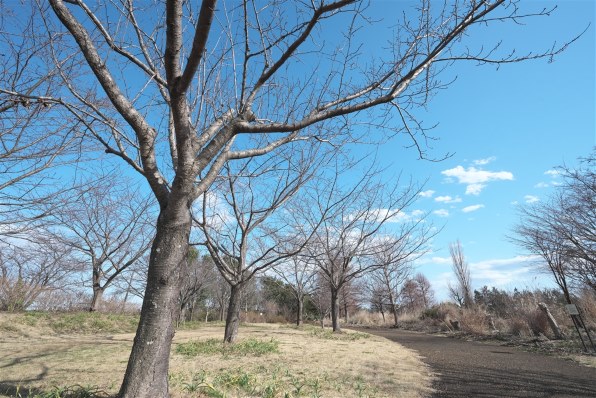 ニコン NIKKOR Z 14-30mm f/4 S 価格比較 - 価格.com ニコン NIKKOR Z 14-30mm f/4 S 価格比較 - 価格.com